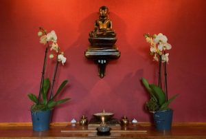 Well Being is the Shape of the Heart – An Online Retreat – Cittaviveka ...